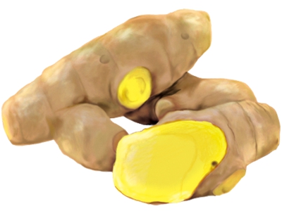 美肌を作る東洋医学ハーブティーはターメリックティー | 大阪市北区で東洋医学を学ぶなら澤楽