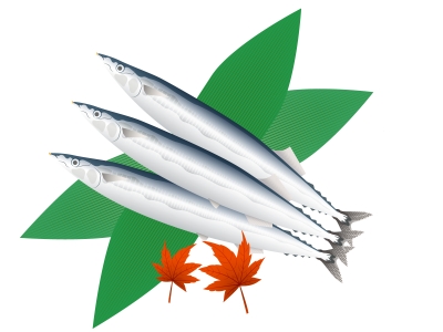 秋が旬のサンマの効能 | 大阪市北区で東洋医学を学ぶなら澤楽